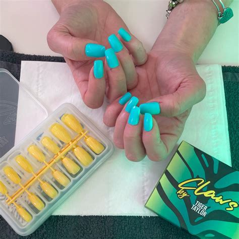 Foundation Of Nail Structure Glossarylive