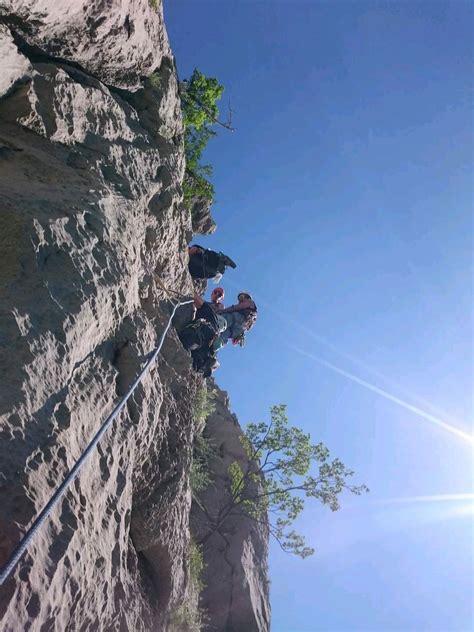 Forwardescape László Mészáros