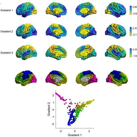 A First Three Gradients Derived From Our Samples Group Average
