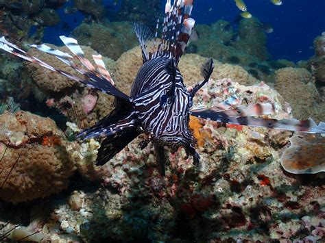 Untitled Ph Ng Flickr