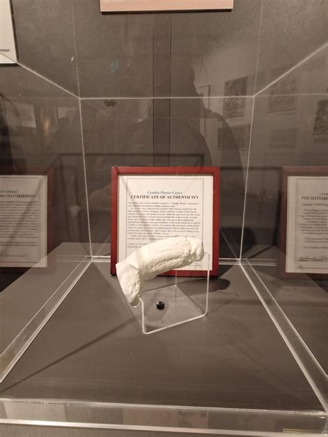 Plaster Cast Of Jimi Hendrixs Penis Rjimihendrix