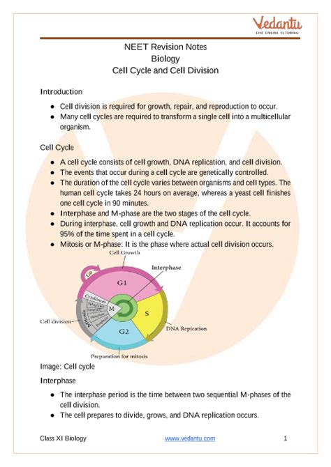 Science Revision Notes Biology Notes Cell Division Cell Cycle