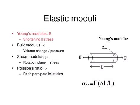 What Is Modulus Of Elasticity Class 11 At Sigrid Charles Blog