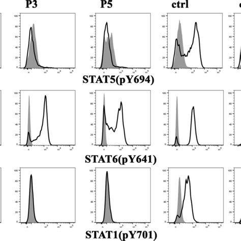 Stat Phosphorylation Phosphorylation Of Stat5 In Cd4 T Cells After