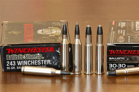 243 Winchester Vs 30 30 Win — Ron Spomer Outdoors