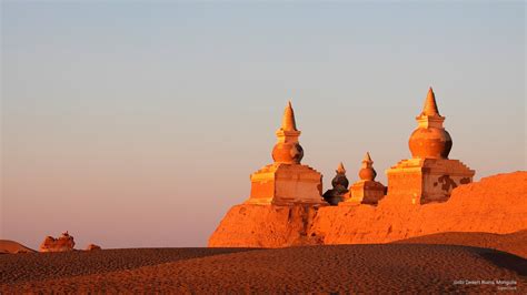 Dunes Mongolia 4k Gobi Camel Hd Wallpaper