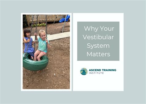 Why Your Vestibular System Matters The Jacobs Ladder Group