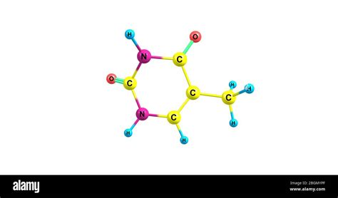 Thymine T Thy Is One Of The Four Nucleobases In The Nucleic Acid