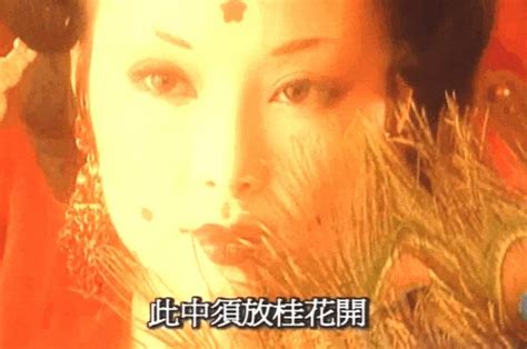 被封杀的袁立，翻红了？ 知乎