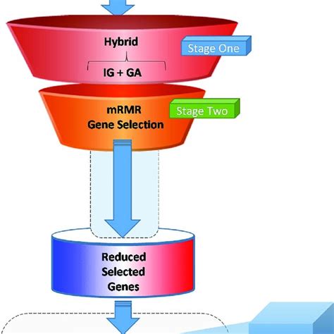 Proposed Computational Model Framework Download Scientific Diagram