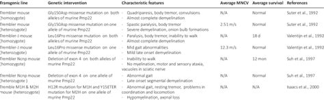 Cmt1a Rodent Models Pmp22 Mutant Models Download Scientific Diagram