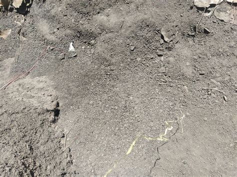 Electrical Earthing Materials At Best Price In Saharanpur By Hari Coal