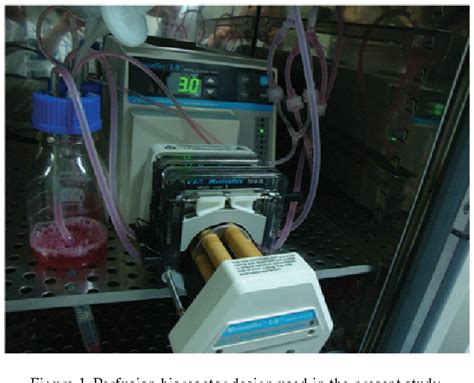Figure 1 From Use Of A Biological Reactor And Platelet Rich Plasma For
