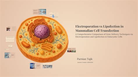 Electroporation Vs Lipofection In Mammalian Cell Transfection By P T On