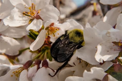 Eris Moon Photography