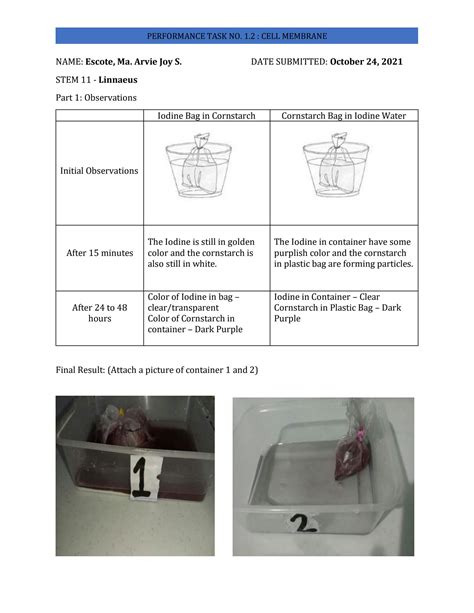 Solution Plastic Bag Membrane And Egg Shell Membrane Experiment Cell Membrane Experiment
