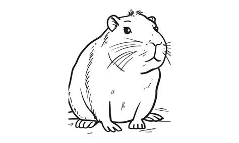Capybara Coloring Page Capybara Line Art 48265952 Vector Art At Vecteezy