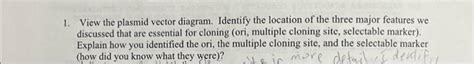 View The Plasmid Vector Diagram Identify The