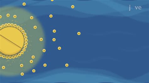 Video Theories Of Dissolution Diffusion Layer Model