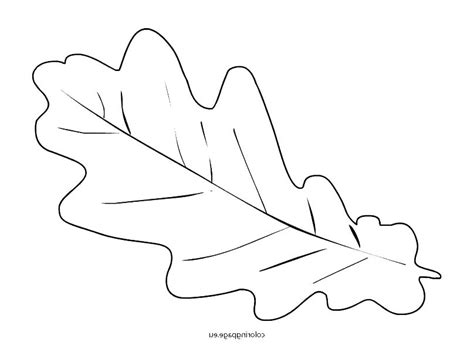 Oak Leaf Drawing Template At Explore Collection Of Oak Leaf Drawing Template