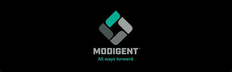 Advanced Infrastructure Technologies Brand Book Modigent