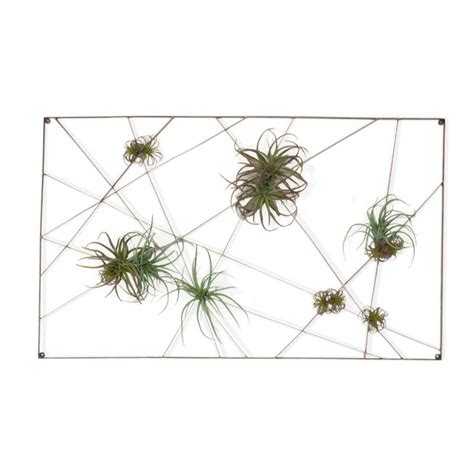 Gold Leaf Intersect Wall Art With Tillandsia Mix