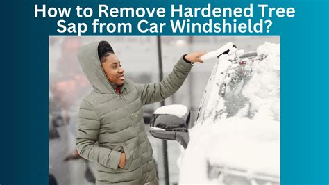 How To Remove Hardened Tree Sap From Car Windshield Services Explainer