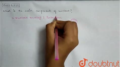 What Is The Main Component Of Nucleus Class 9 The Fundamental