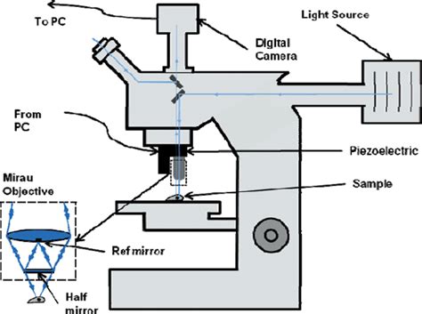 Interference Microscopy
