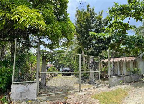 Lot For Sale In Calape Daanbantayan