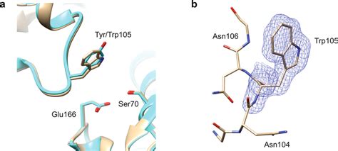 Ctx M 14 Y105w Enzyme Structure A Ctx M 14 Y105w Enzyme Structure