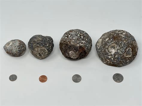 Break Your Own Geode Solid Las Choyas Mexican Coconut Etsy