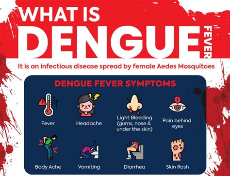 Understanding Dengue Fever Symptoms And Prevention Qualitas Health