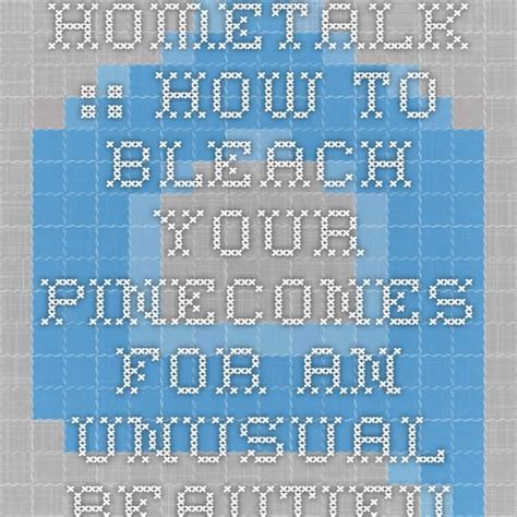 How To Bleach Your Pine Cones For An Unusual Beautiful Effect Artofit