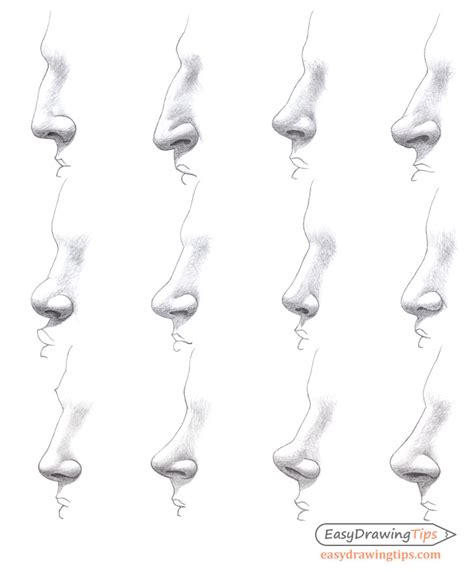 How To Draw A Simple Nose From The Side Img Daffodil