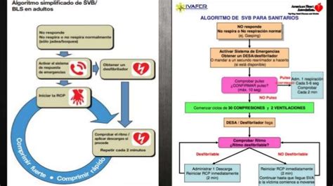 La Rcp Y Sus Pasos • El Abc De La Reanimación Cardiopulmonar Básica