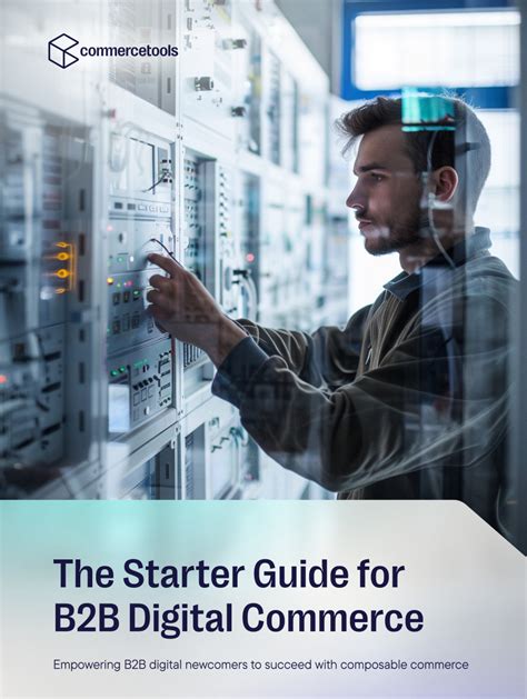 The Starter Guide For B2b Digital Commerce Commercetools