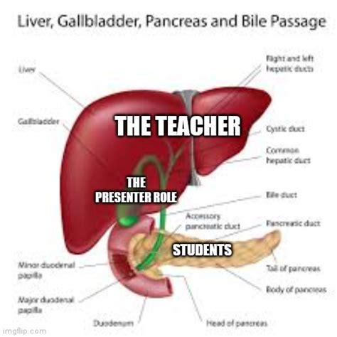 Liver Gallbladder And Pancreas Memes Imgflip