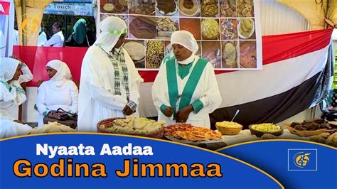 Nyaata Aadaa Godina Jimmaa Youtube