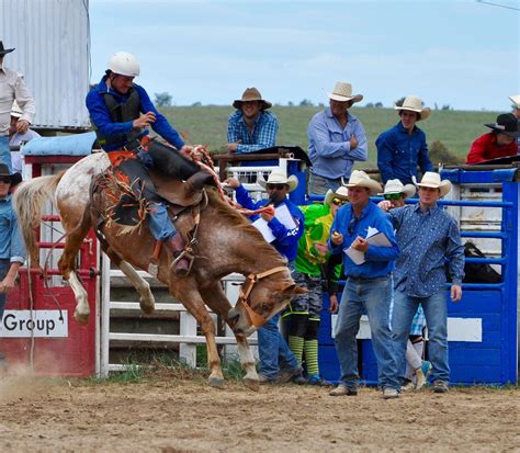Bronc Riding Wallpapers Wallpaper Cave