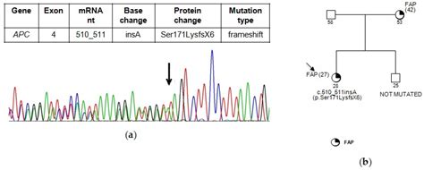 Apc And Mutyh Analysis In Fap Patients A Novel Mutation In Apc Gene And Genotype Phenotype