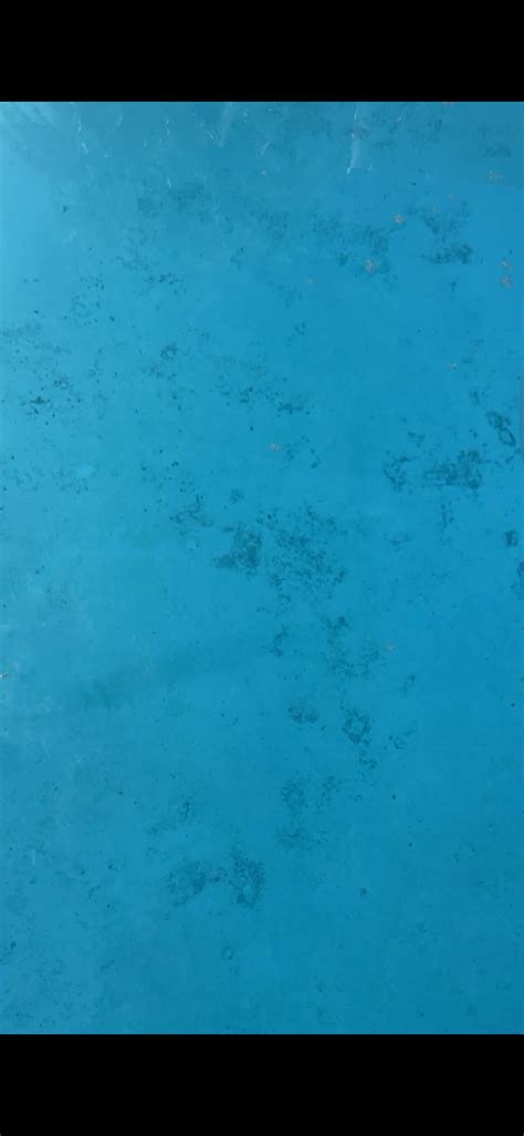 Black Algae Or Not Rpools