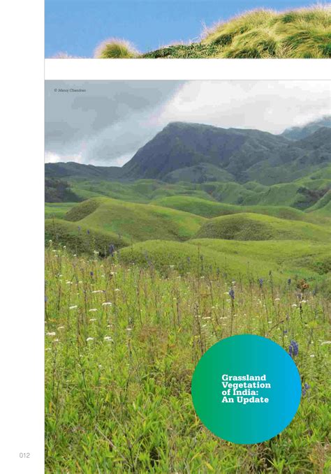 Pdf Grassland Vegetation Of India An Update In Envis Bulletin Vol 17 Ecology And