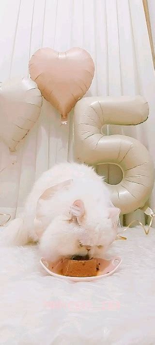 🎀🌸princess Lili🌸🎀 Princess Lili • Instagram Photos And Videos