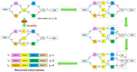 Rna Alignment Plos One