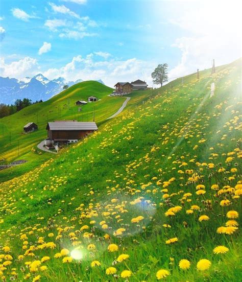 دانستنیهای ایمن بودن دوغ گاز دار و دلستر گاز دار آيا گاز موجود در دوغ