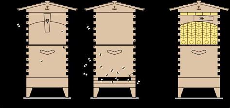 Understanding The Inner Workings Of A Flow Hive A Visual Guide