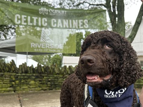 Photos Dublin Irish Festival Begins Friday