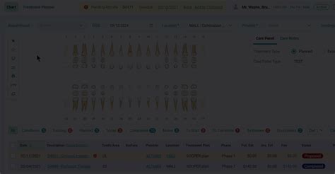 A Guide To The Odontogram Carestack User Resource Center