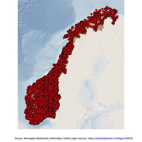 Summary Of Echinococcosis In Humans Of Echinococcus Multilocularis And Download Scientific